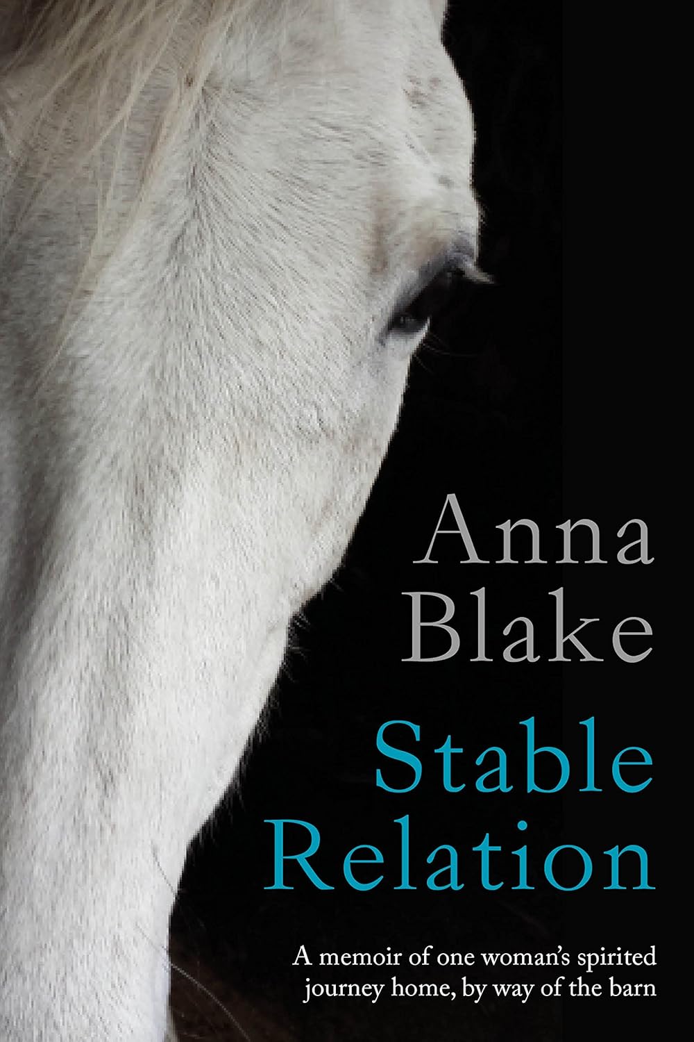 Amazon.com: Stable Relation: A Memoir of One Woman's Spirited Journey ...