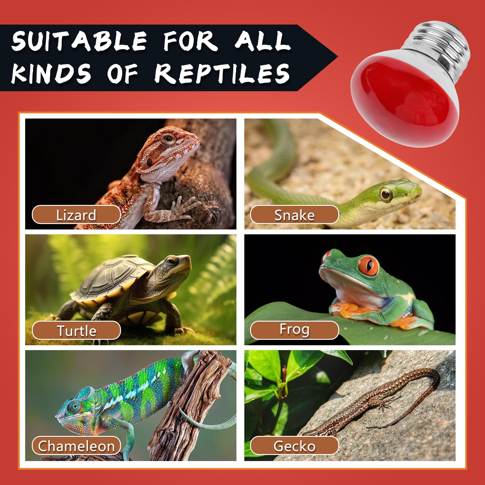 Snapklik.com : Infrared Heat Lamp, 40W Reptile Heat Lamp 2 Pack Red ...