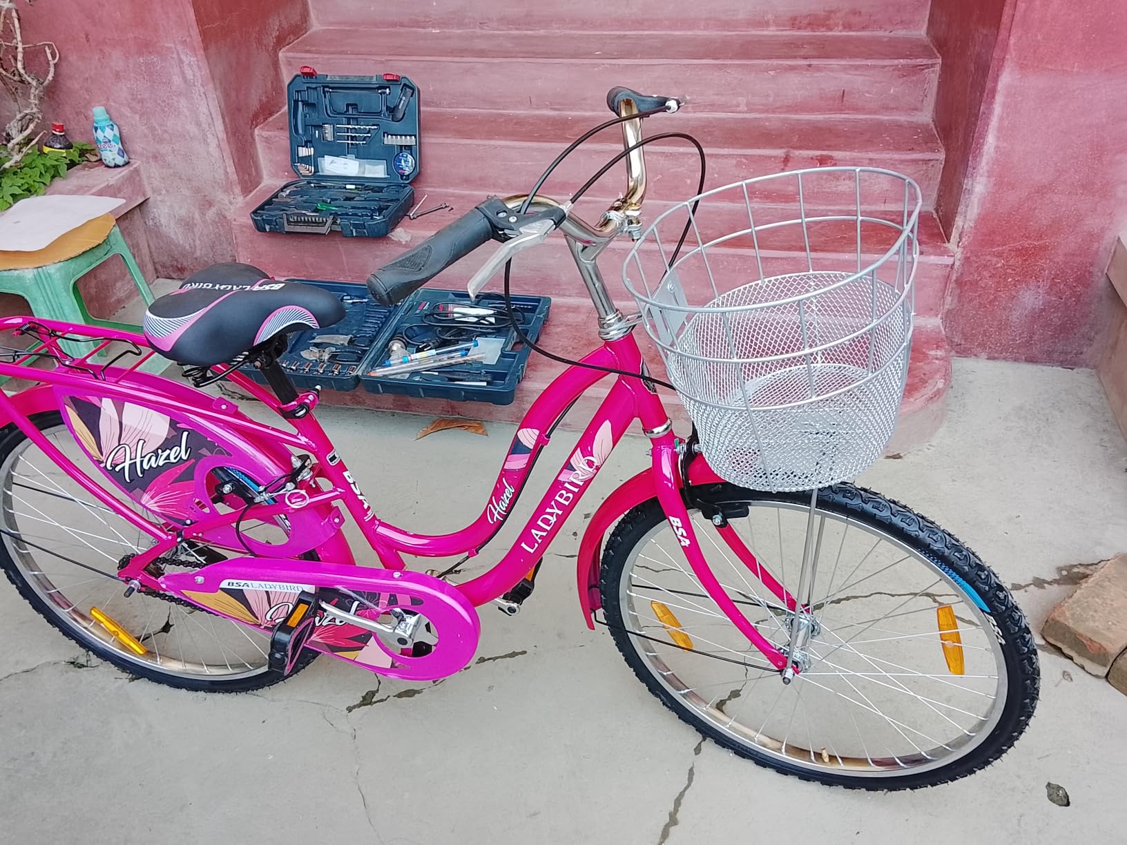 BSA cycles Ladybird Hazel Cycle 24T 9 Years to 15 Years : Amazon.in ...