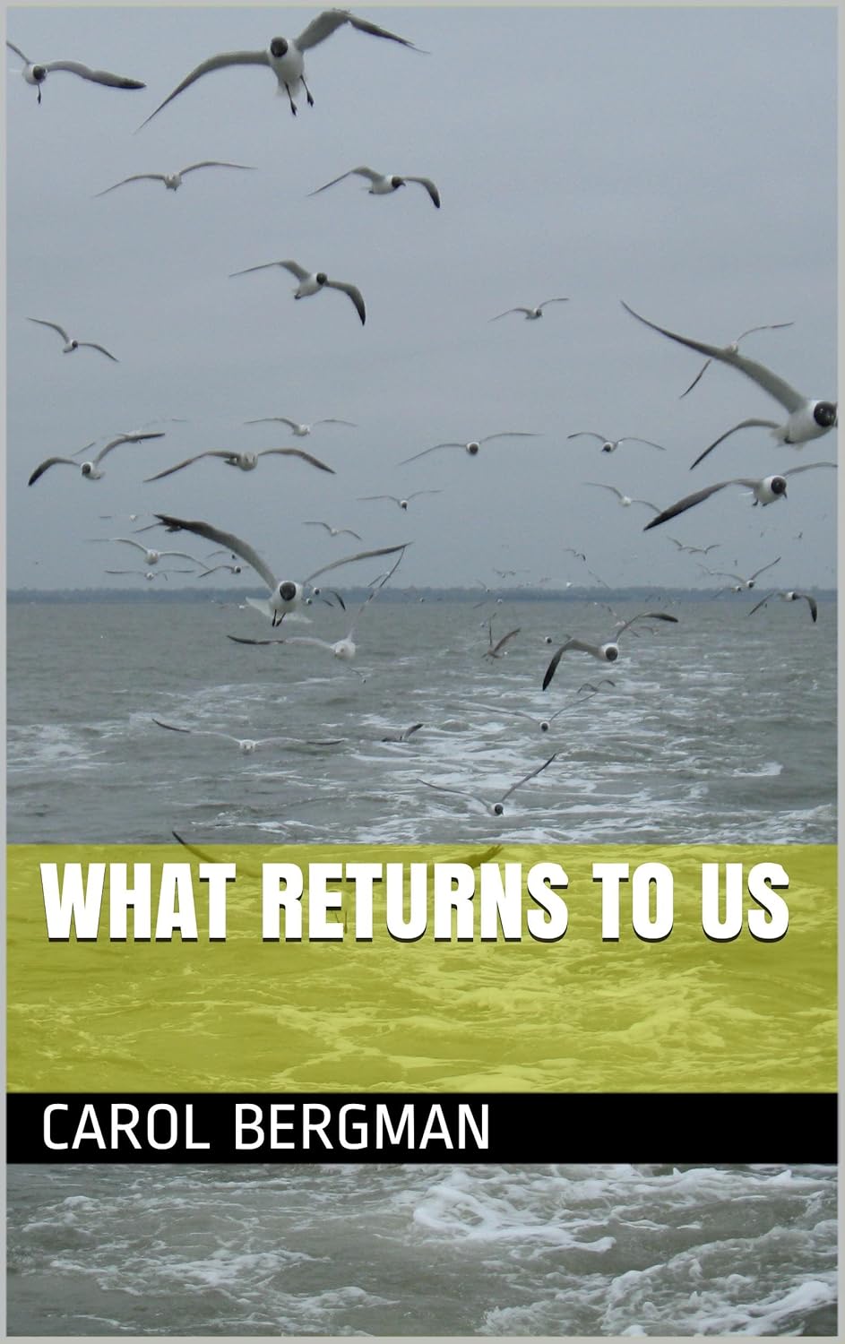Amazon.com: What Returns to Us eBook : Bergman, Carol: Kindle Store