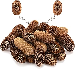 Creative Pine Cone Crafting: Painting And Cutting Techniques For Diy Decor | CyPaint