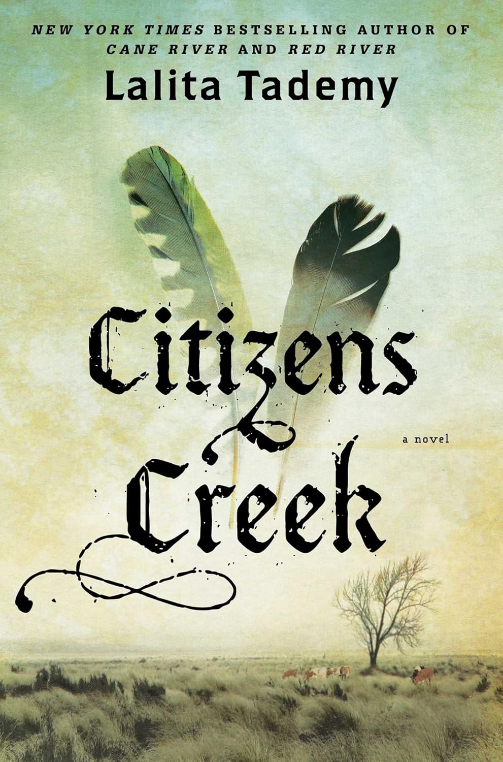 Citizens Creek: A Novel: Tademy, Lalita: 9781476753034: Amazon.com: Books