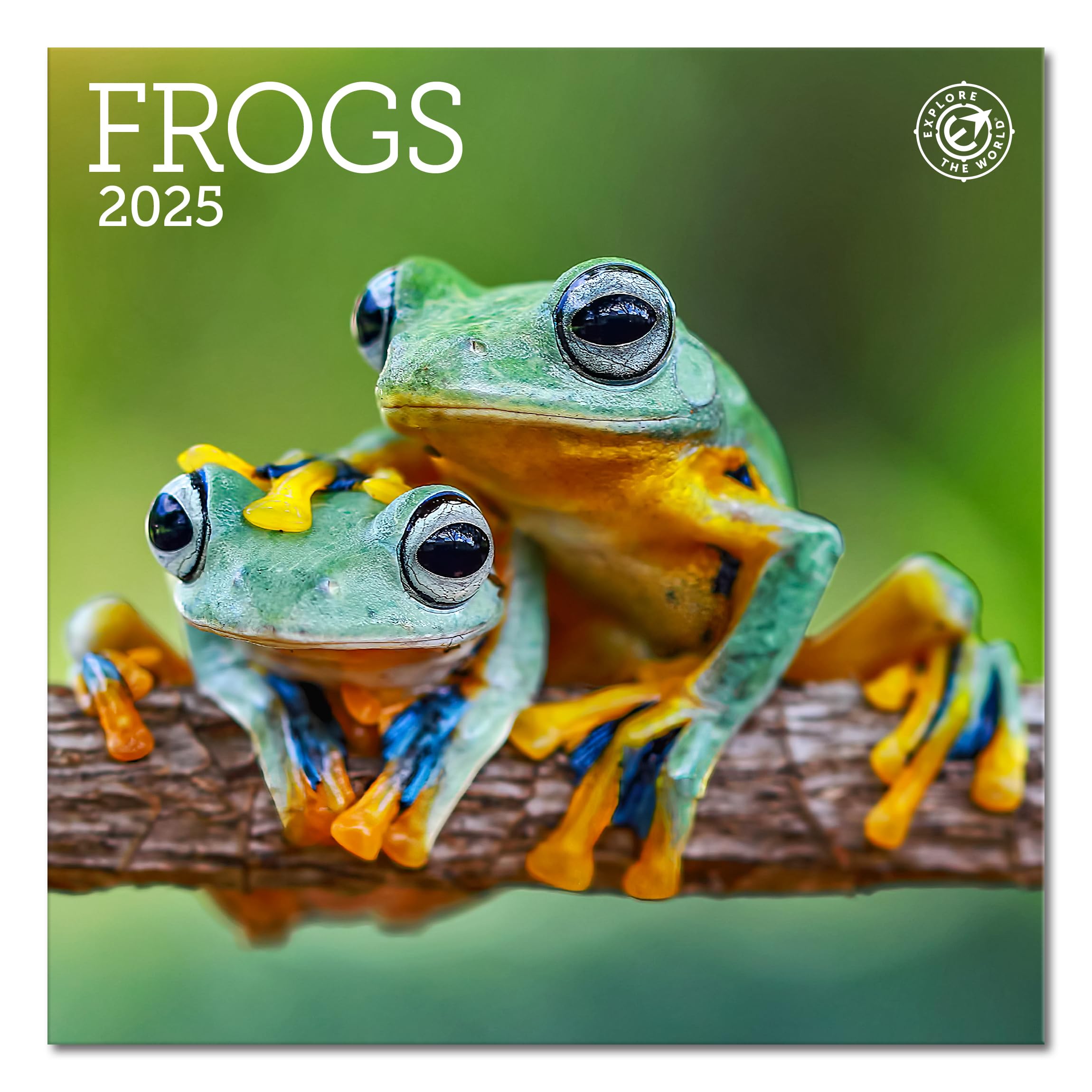 Poison Arrow Frogs Printout Enchanted Learning Software