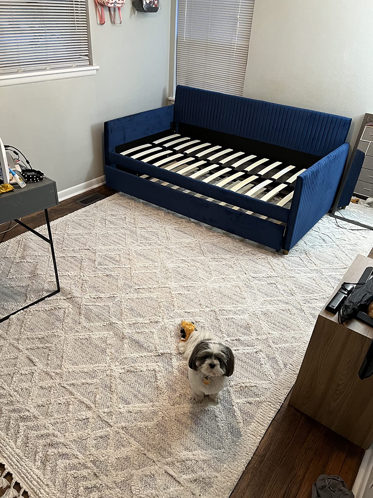 $12/mo - Finance Mr. Kate Daphne Twin Daybed with Trundle, Upholstered ...