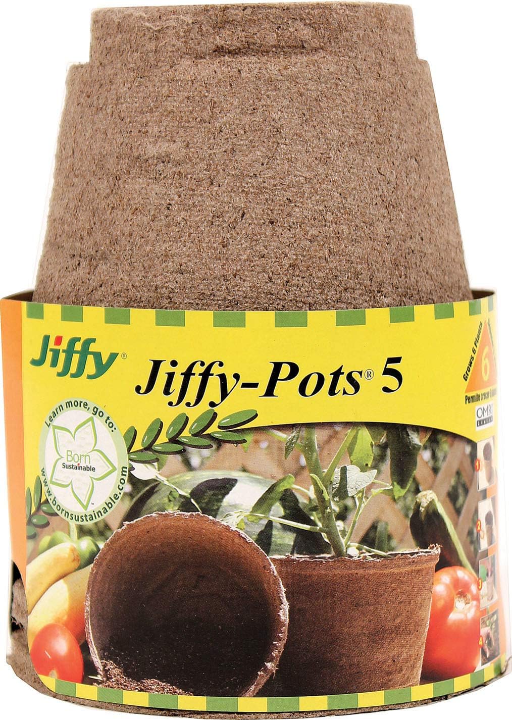 Amazon.com: Jiffy-Pots Organic Seed Starting 5" Biodegradable Peat Pots ...