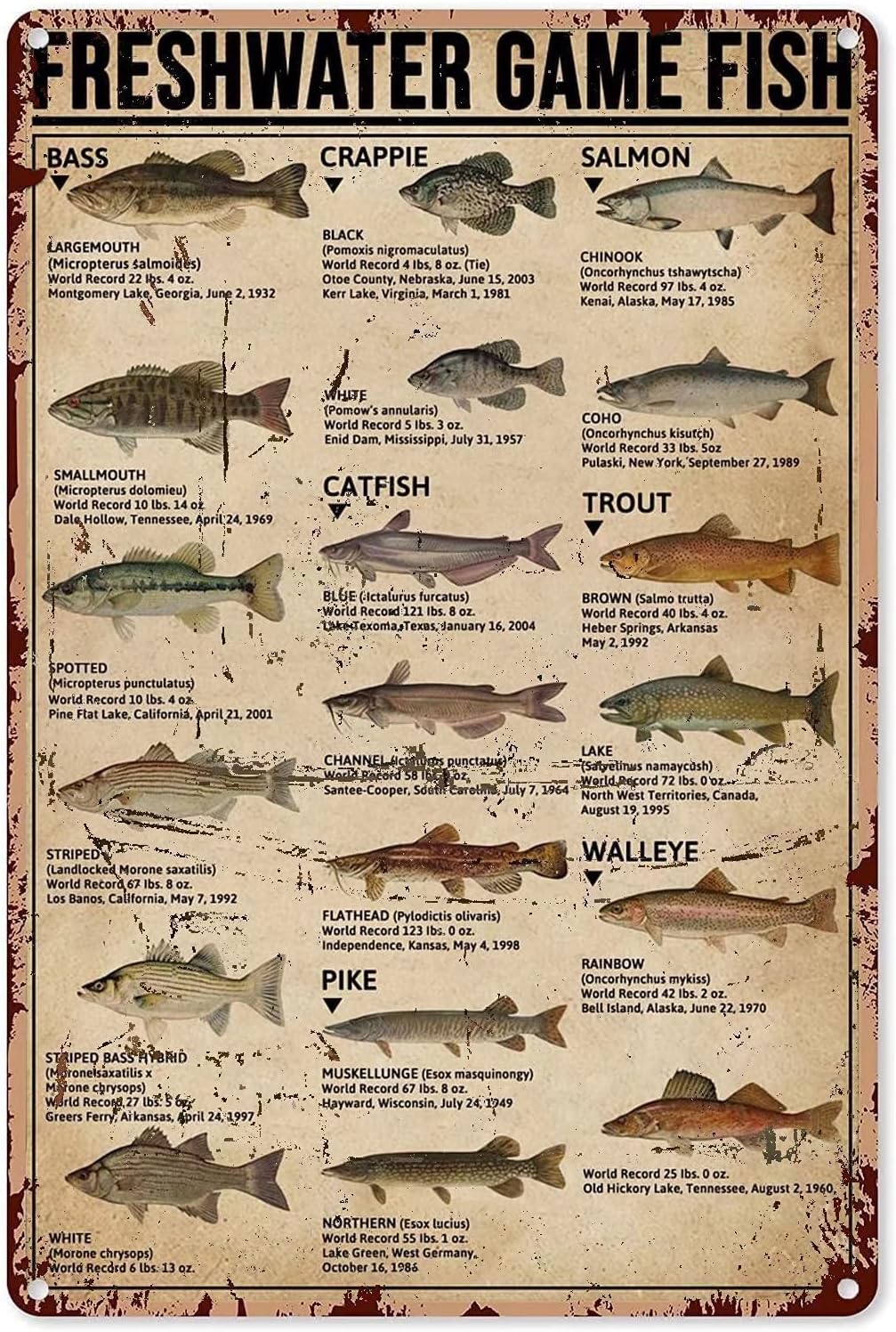 Amazon.com: Fishing Tackle Knowledge Metal Tin Sign,Bar Cafe Farm Metal ...