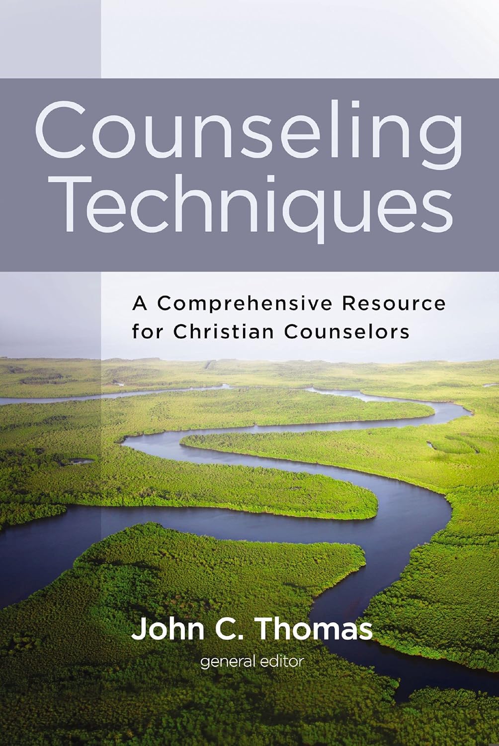 Counseling Techniques: A Comprehensive Resource for Christian Counselors - Kindle edition by ...