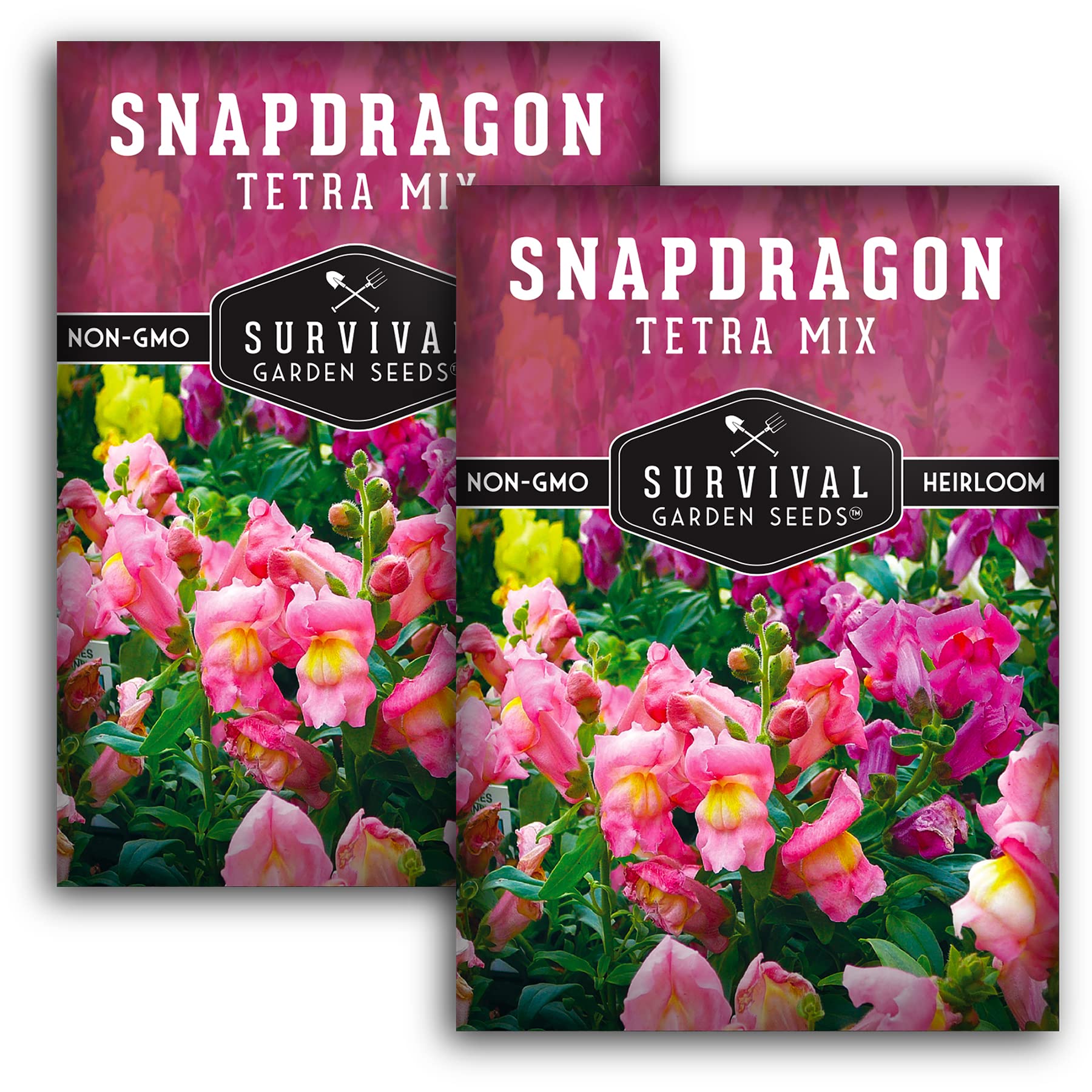 Amazon.com : Survival Garden Seeds - Snapdragon Tetra Mix Seed for ...