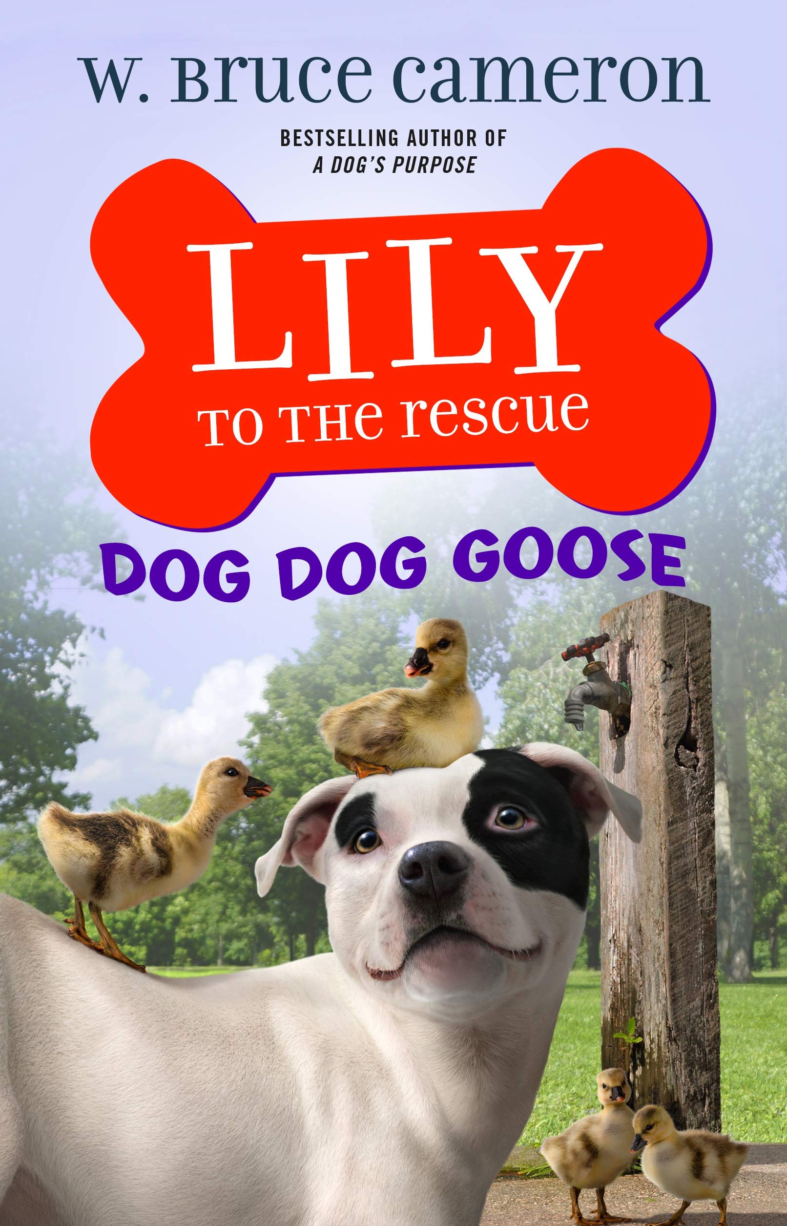 Amazon.com: Lily to the Rescue: Dog Dog Goose (Lily to the Rescue!, 4): 9781250234520: Cameron ...