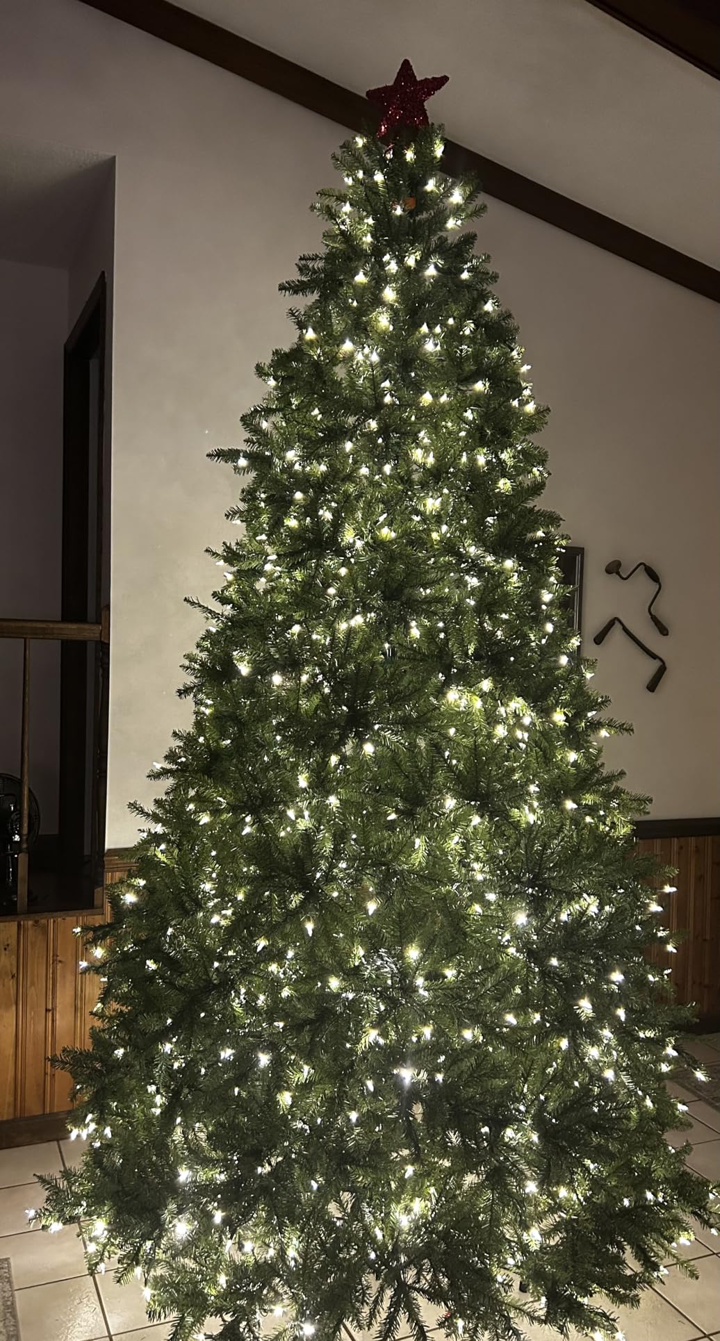 $19/mo - Finance National Tree Dunhill Fir Tree with Dual Color LED ...