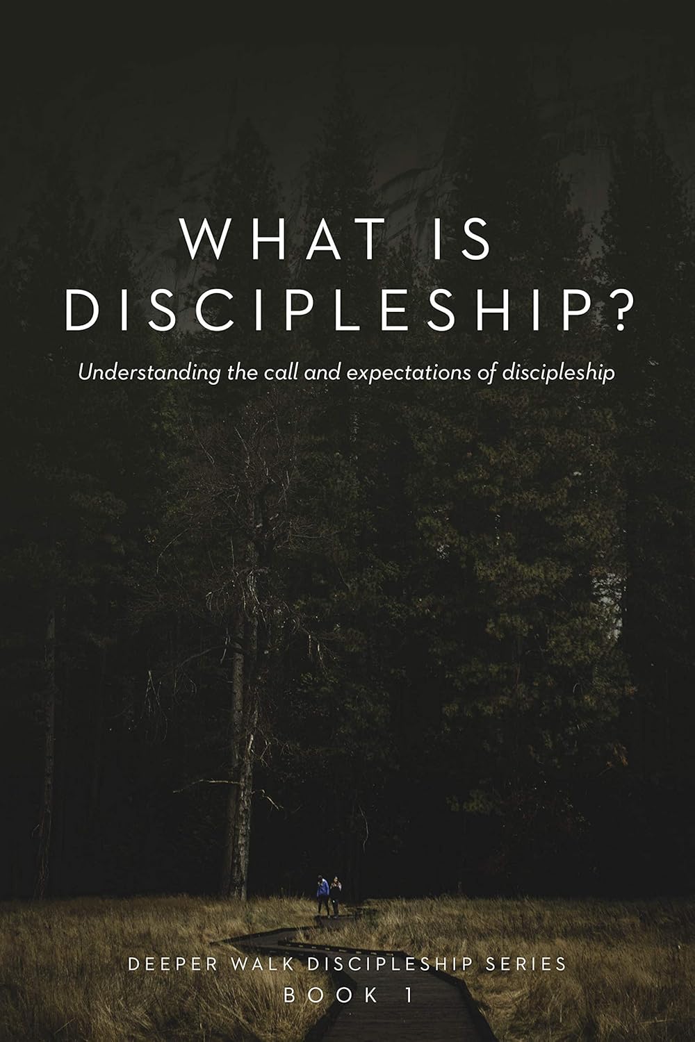 What is Discipleship?: Understanding the Call and Expectations of ...