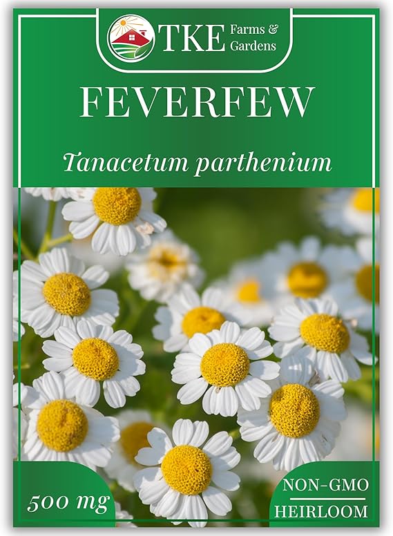 Amazon.com : TKE Farms & Gardens - Feverfew Seeds for Planting, 3000 ...