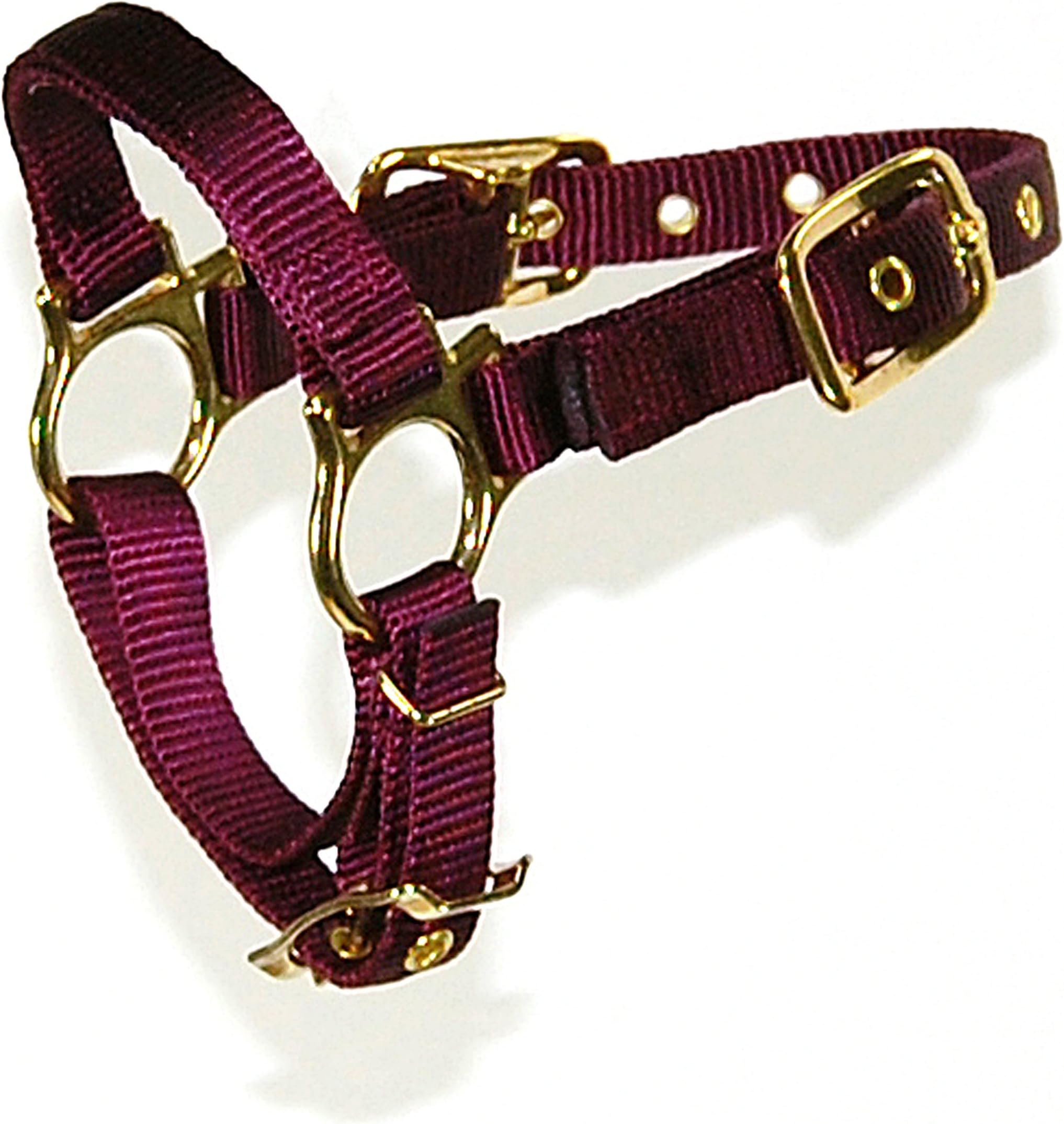 Amazon.com: Hamilton 3/4" Sheep Halter with Adjustable Chin Strap, Wine ...