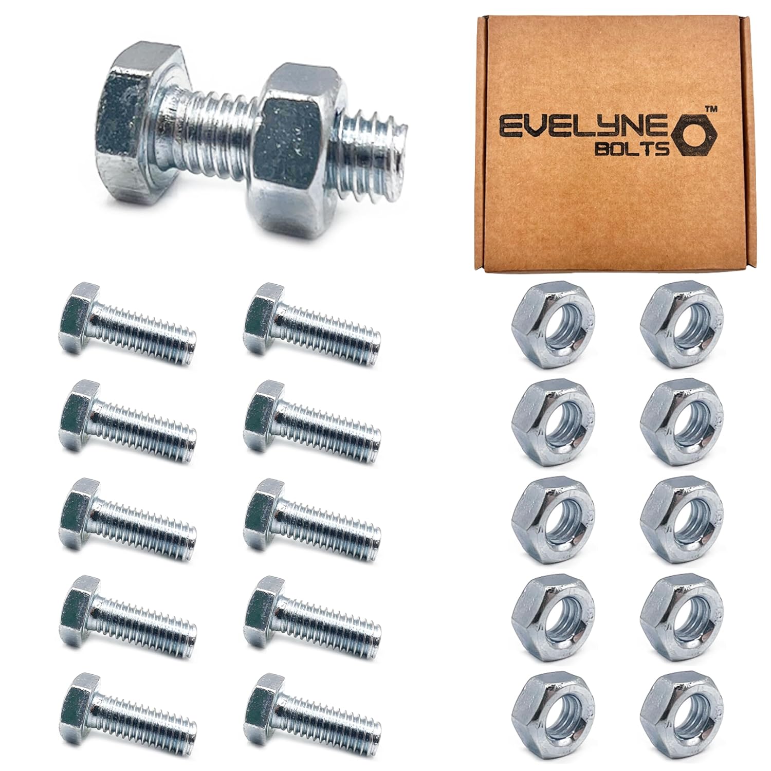 M6 Nuts & Bolt 10 Pack (M6 x 16mm Bolts & M6 Nuts) Hex Bolt/Setscrew ...
