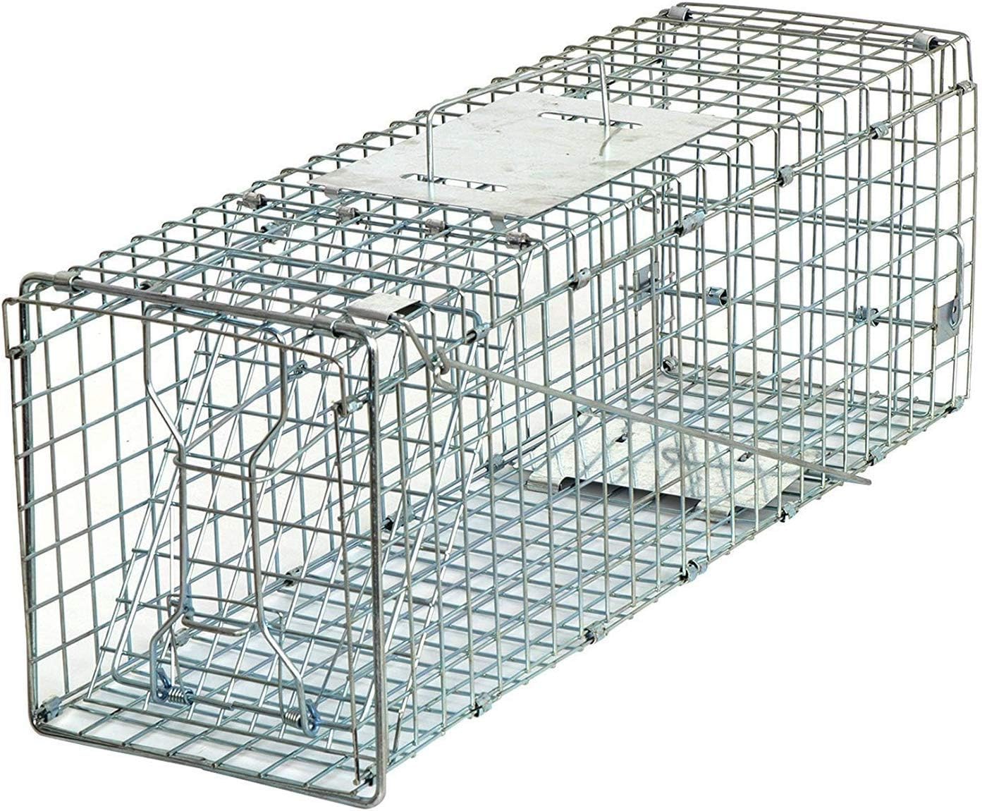 Amazon.com : HomGarden Catch Release Humane Live Animal Trap Cage for ...