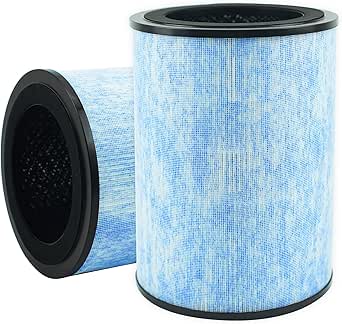 Amazon.com: 2 Pack AP300 3-in-1 H13 True Replacement Filters Compatible ...