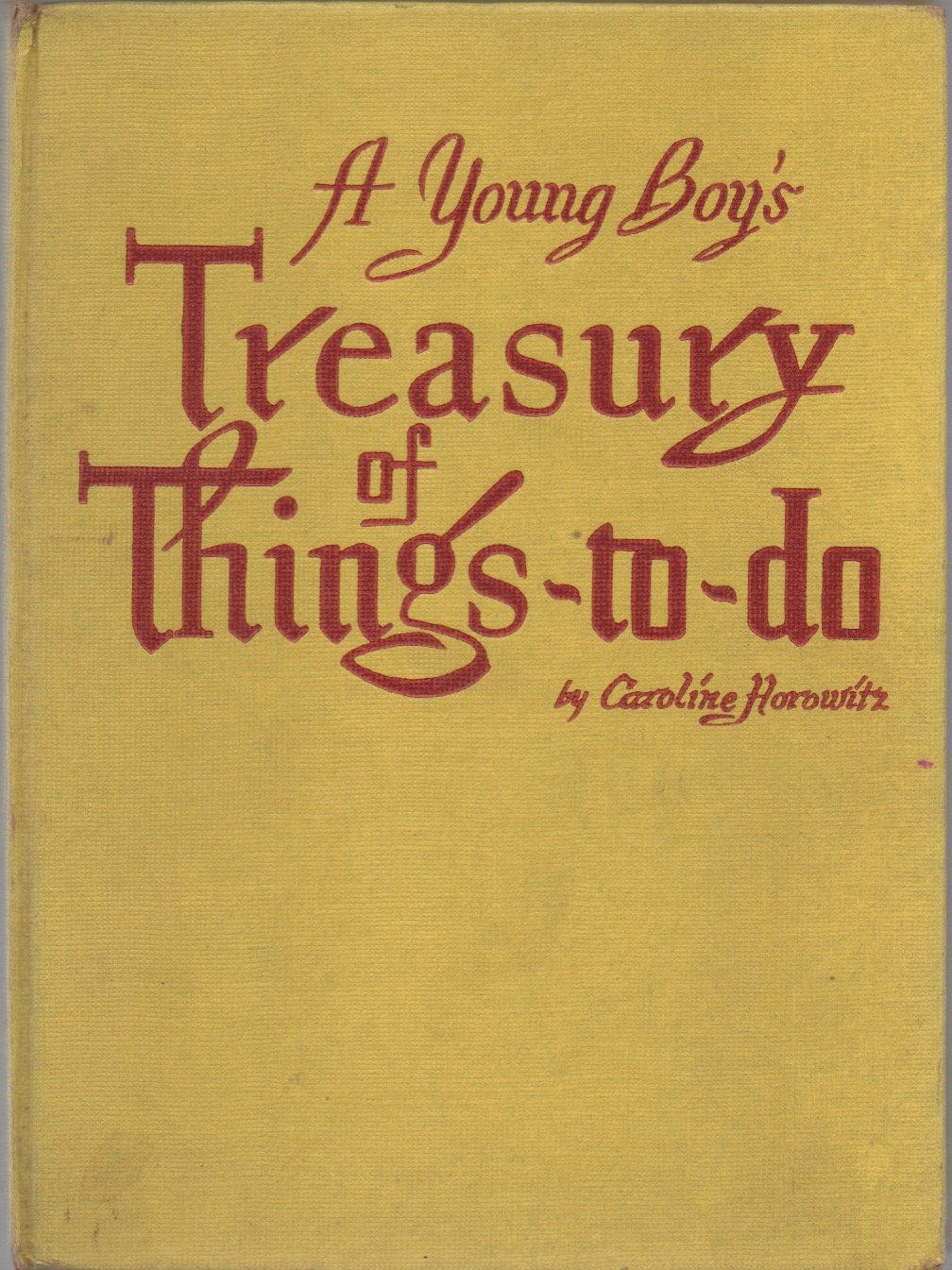 A Young Boys' Treasury of Things to Do: Horowitz, Caroline: Amazon.com ...