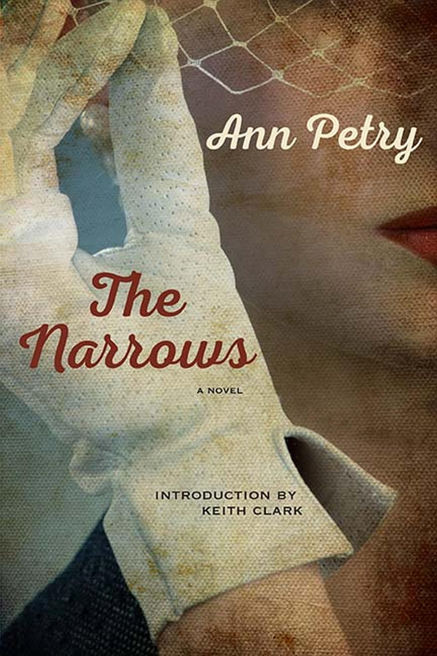 The Narrows: A Novel: Petry, Ann, Clark, Keith: 9780810135512: Amazon ...