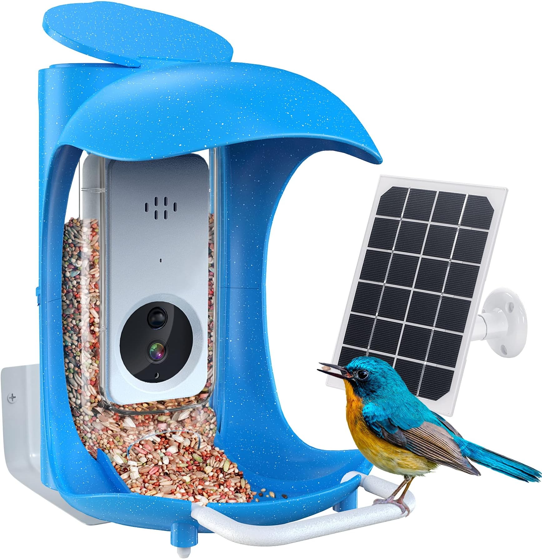 Amazon.com : BirdDock Smart Bird Feeder Camera with Solar Panel, Bird ...