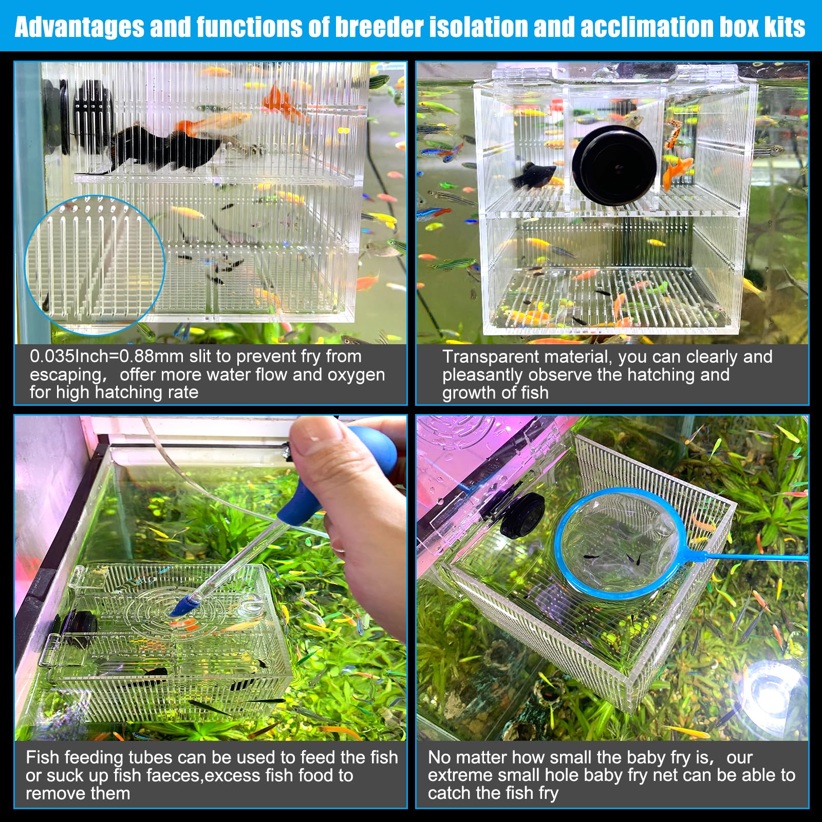 Snapklik.com : Magnetic Fish Breeder Box For Isolation Boxes ...
