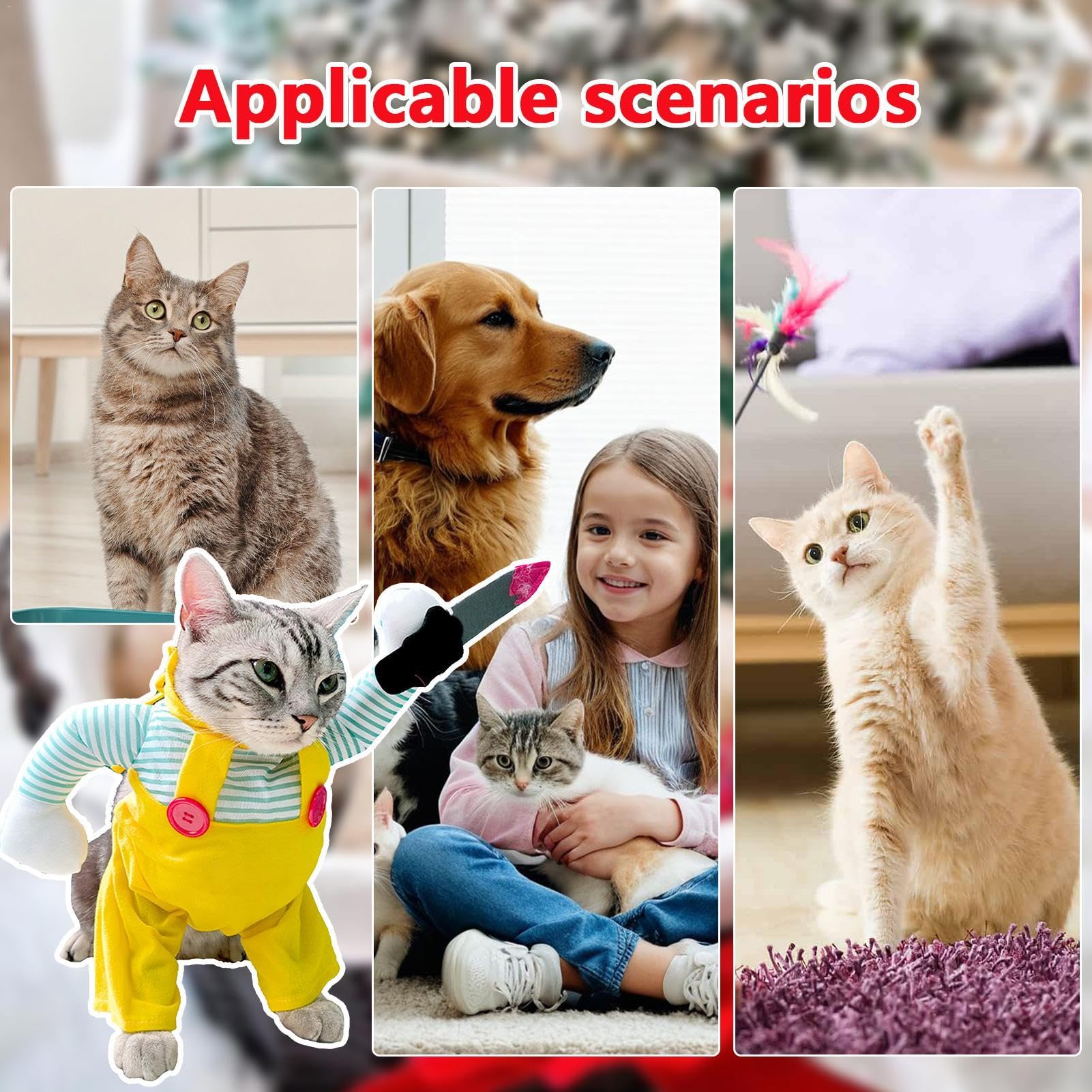 Assassins Cat Wallpaper ACR Cat Photo Contest! Post... Assassin's