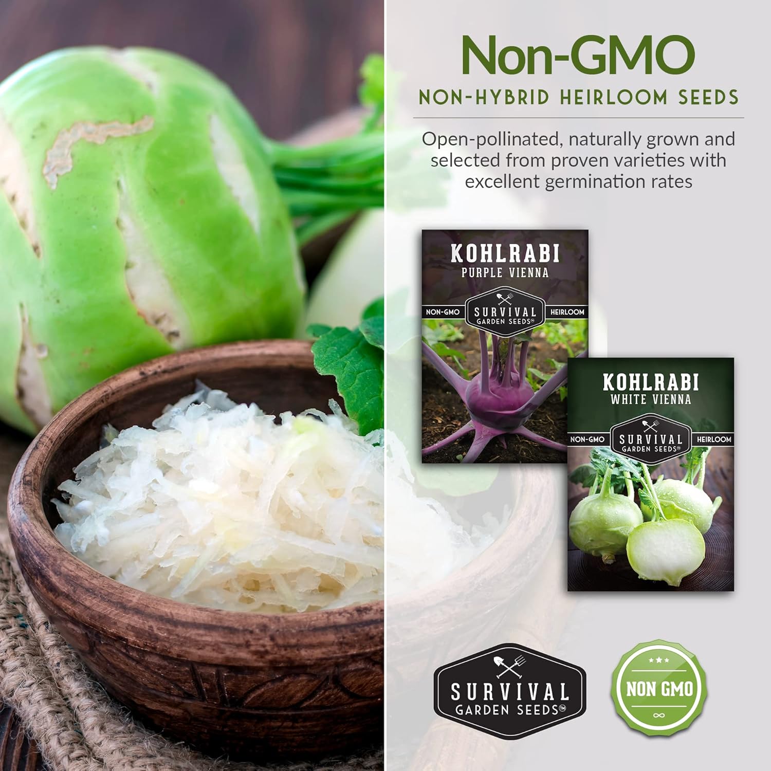 Kohlrabi Seed Collection for Planting – 2 Packs to Plant & Grow White ...