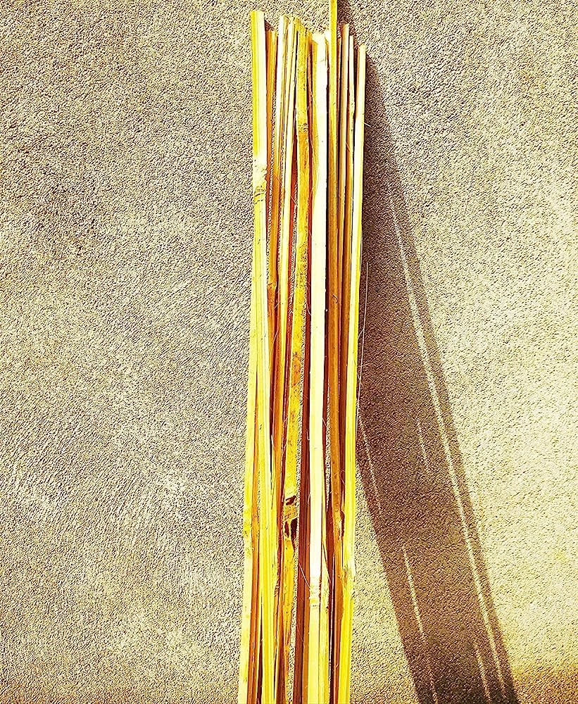 Bamboo Sticks for Plants Support 2 feet (17 Sticks) : Amazon.in: Garden ...