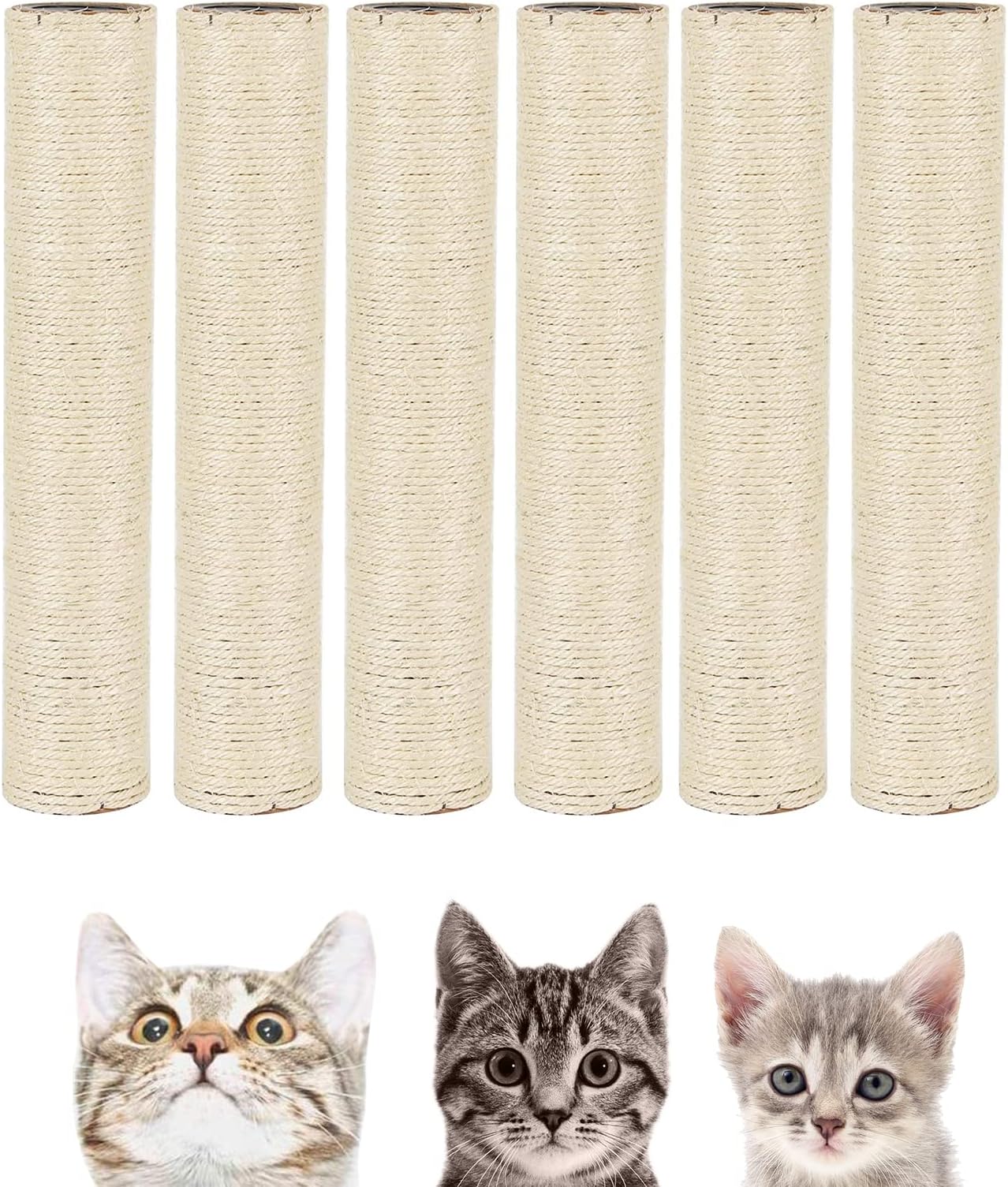 Amazon.com : BNOSDM 6 Pack M8 Cat Tree Scratching Post Replacement ...