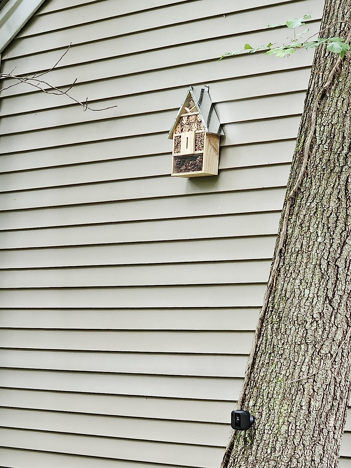 $5/mo - Finance Elipark Wooden Mason Insect Bee Butterfly House,Insect ...