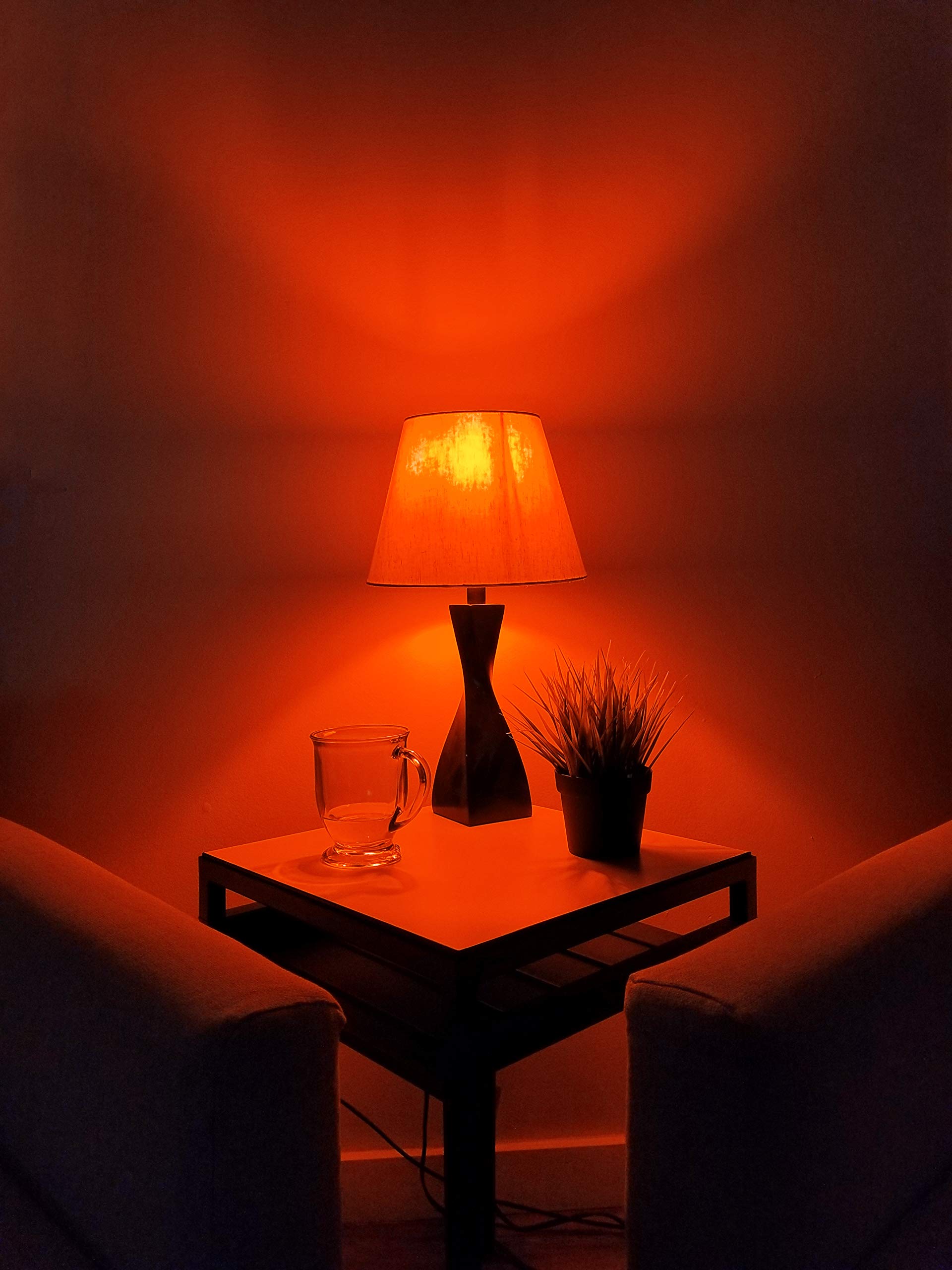 Snapklik.com : LED Colored Filament A19 Light Bulb, 4.5 Watts, Medium ...