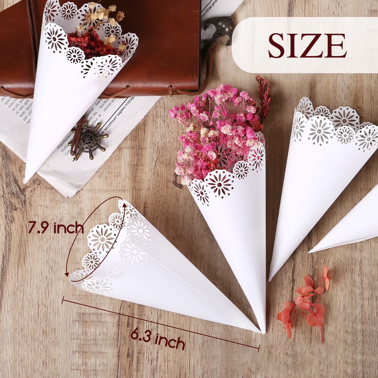 Biodegradable Confetti Cones