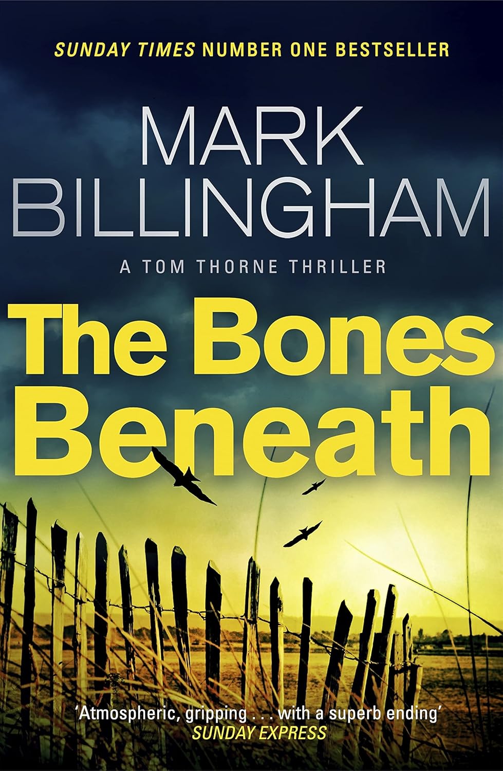 The Bones Beneath (Tom Thorne series Book 12) eBook : Billingham, Mark ...