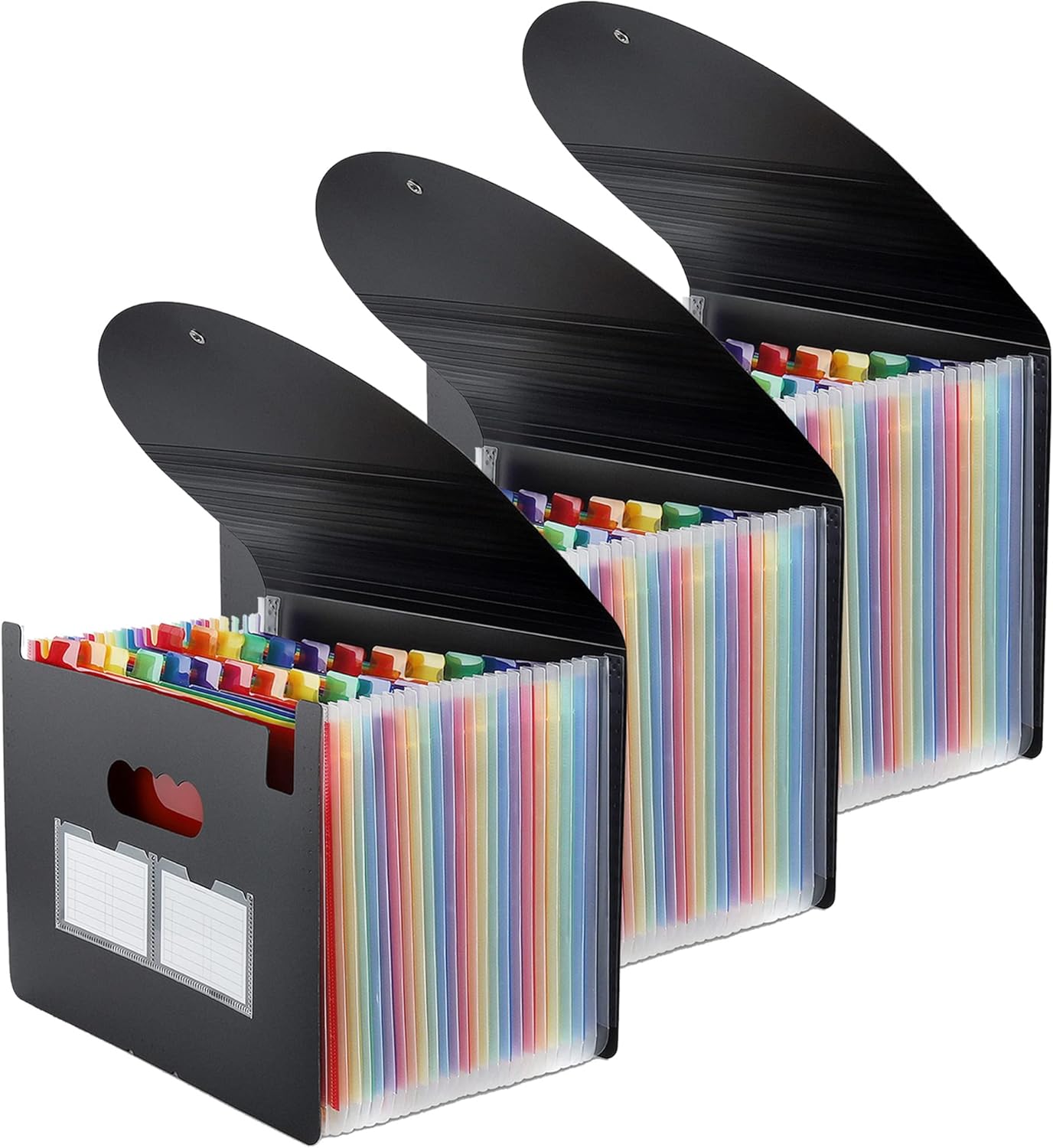 Amazon.com: 3 Pack Expanding File Folder, 24 Pocket Accordian File ...