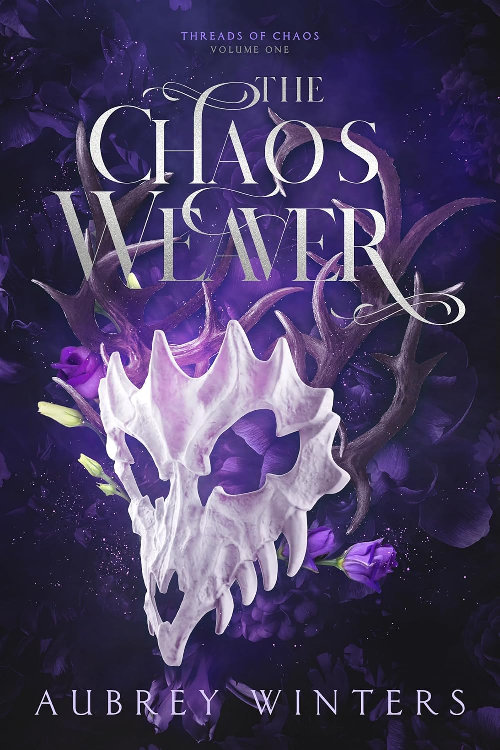 The Chaos Weaver: Threads of Chaos Book 1 eBook : Winters, Aubrey ...