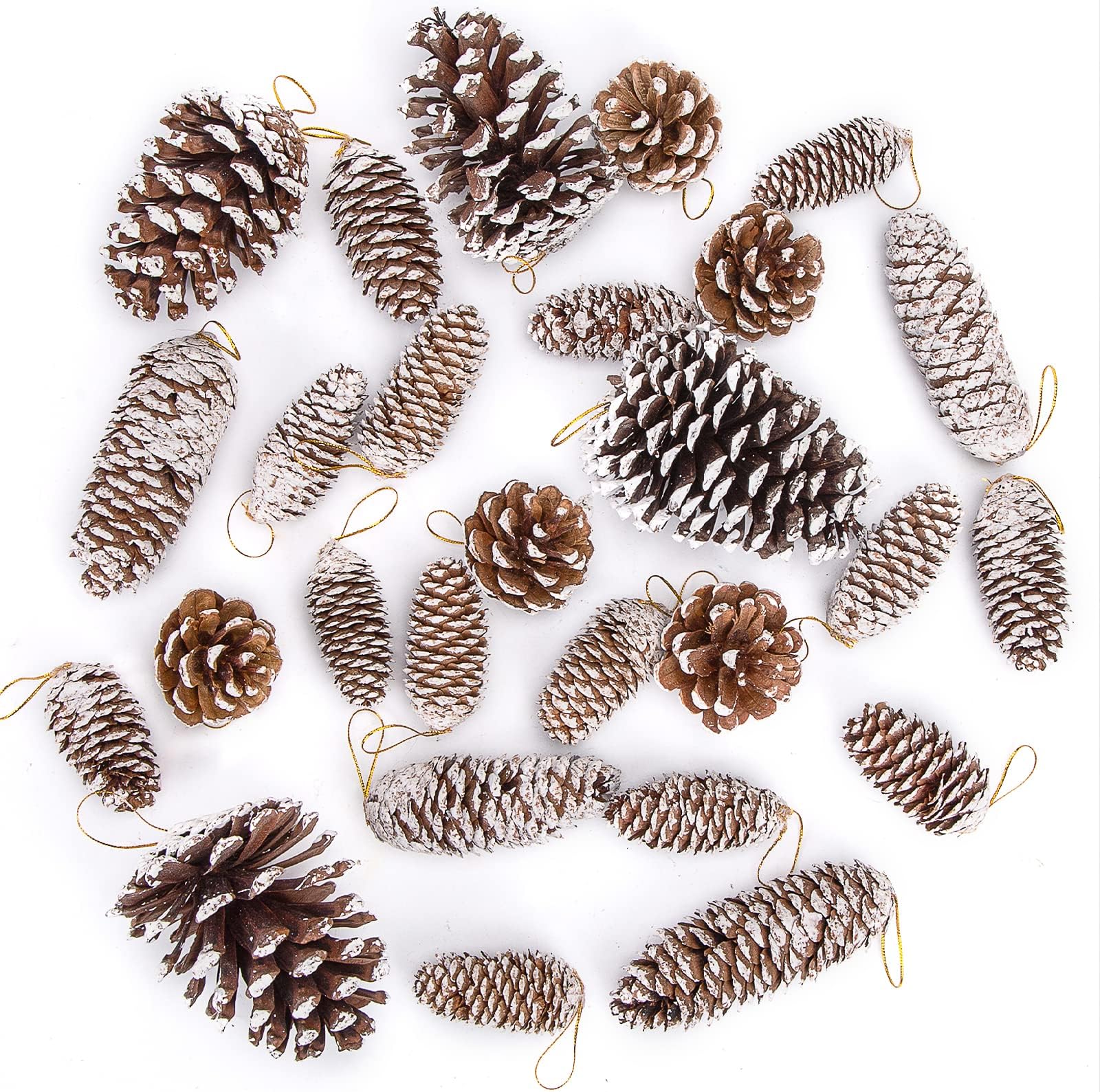 Amazon.com: Fovths 42 Pieces Christmas Snow White Pine Cones Ornaments ...