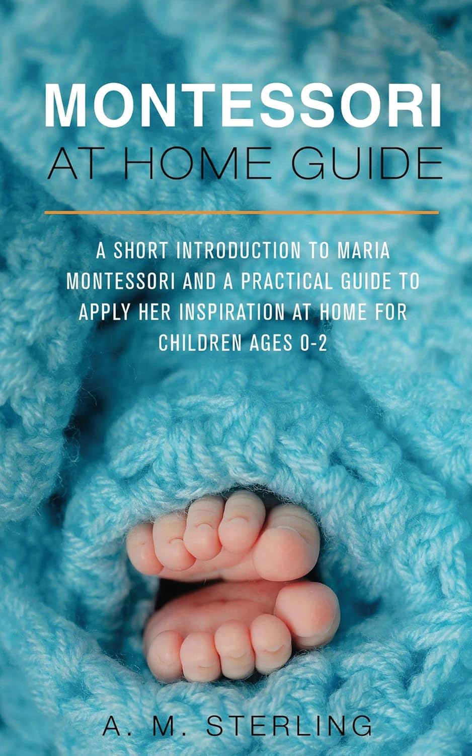 Amazon.com: Montessori at Home Guide: A Short Introduction to Maria ...