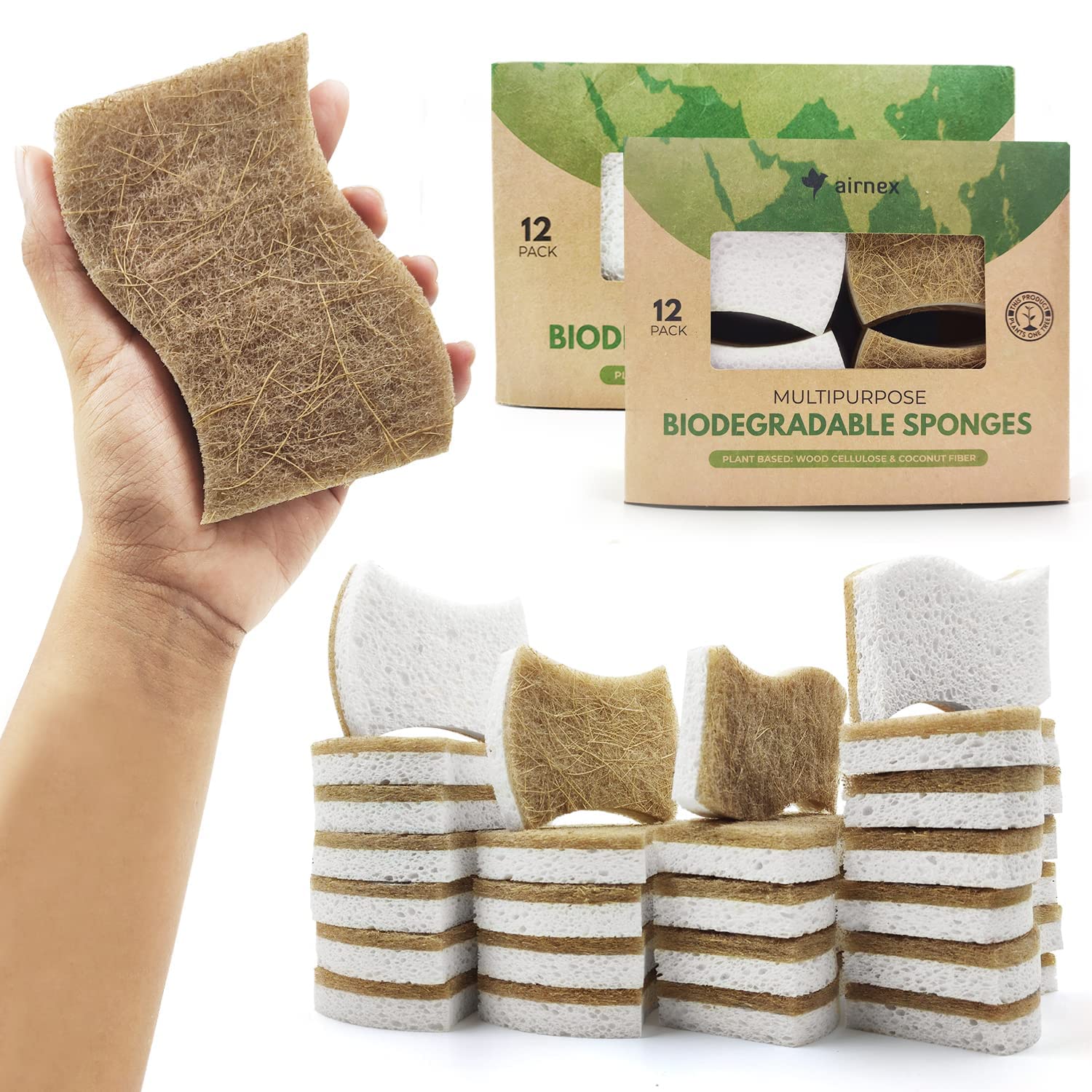 Amazon.com: AIRNEX 24 Pack Biodegradable Natural Kitchen Sponge ...