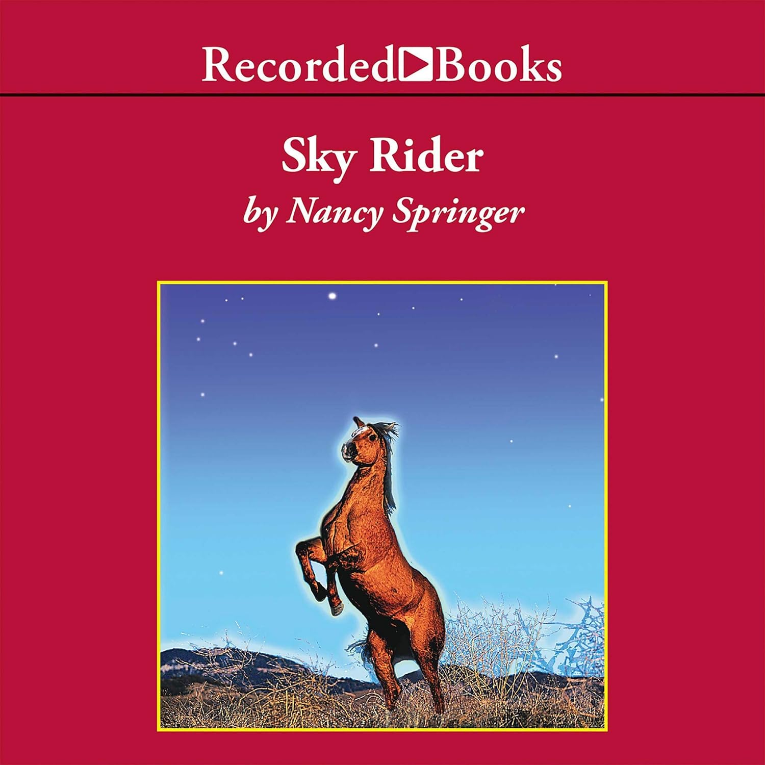 Sky Rider: Nancy Springer: 9781664425491: Amazon.com: Books