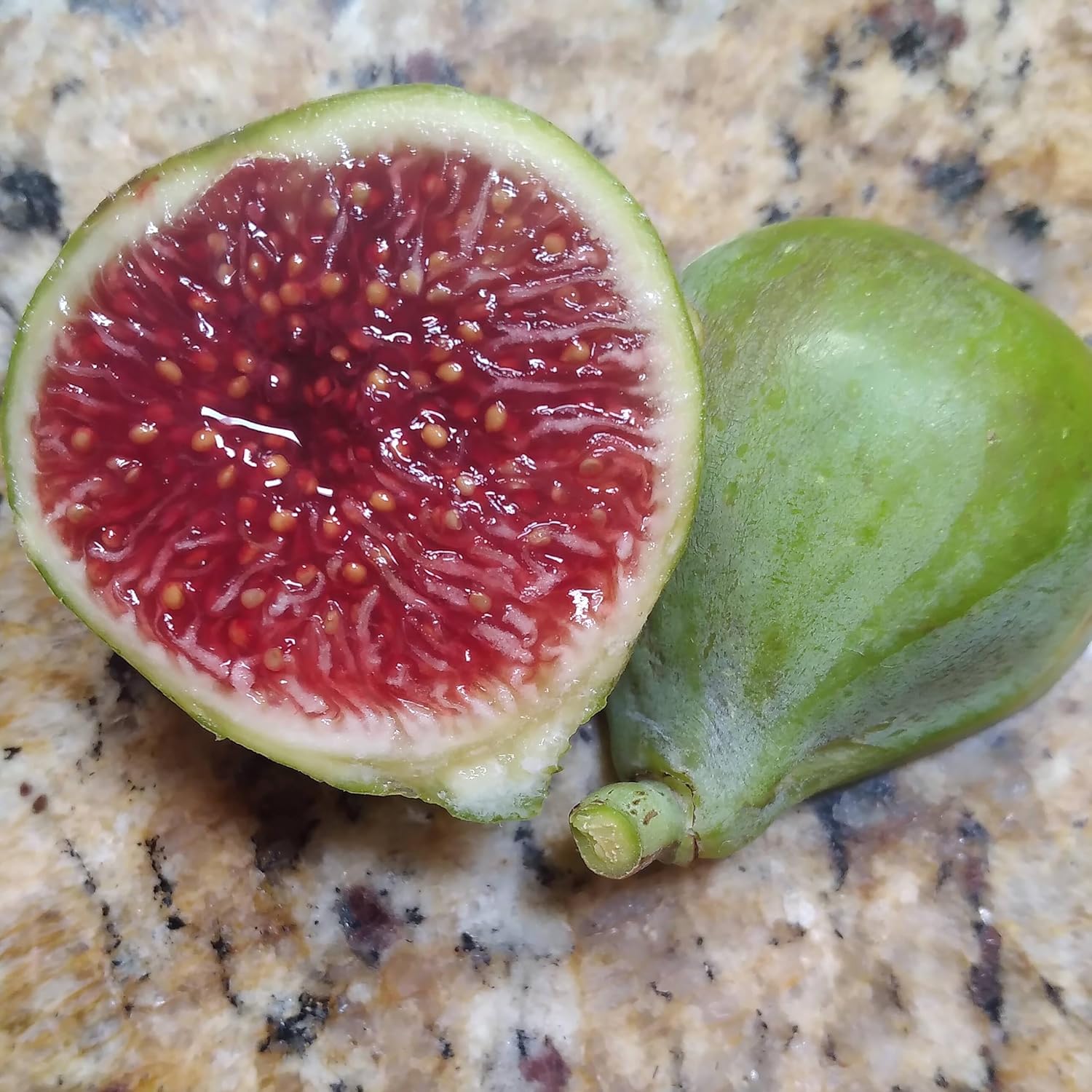 Amazon.com : Figoin Fig - 2 Live Cuttings - Top-Tier Green Variety with ...