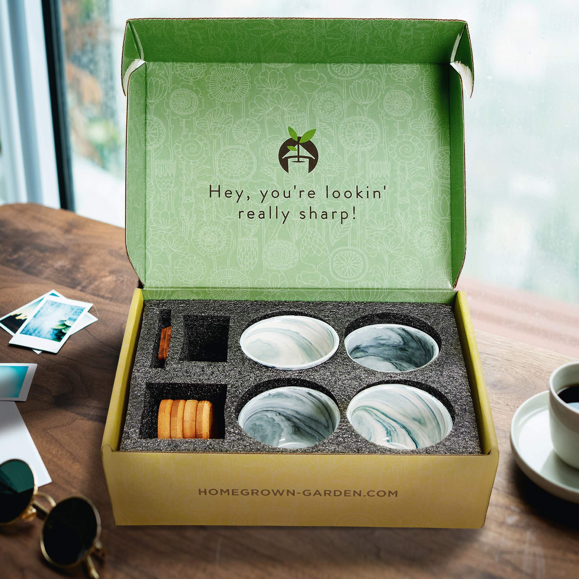 Deluxe Succulent & Cactus Seed Grow Kit - Complete Indoor Cactus ...