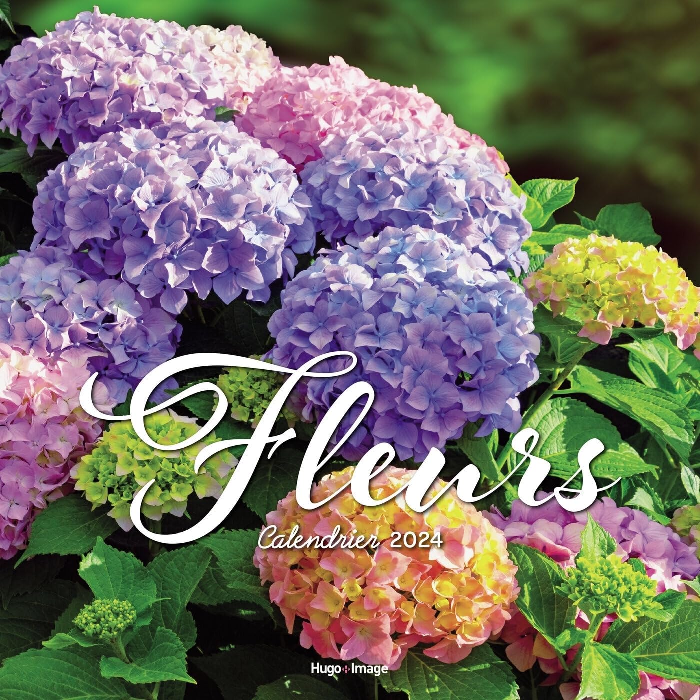 Calendrier mural fleurs 2024 : Collectif: Amazon.fr: Livres