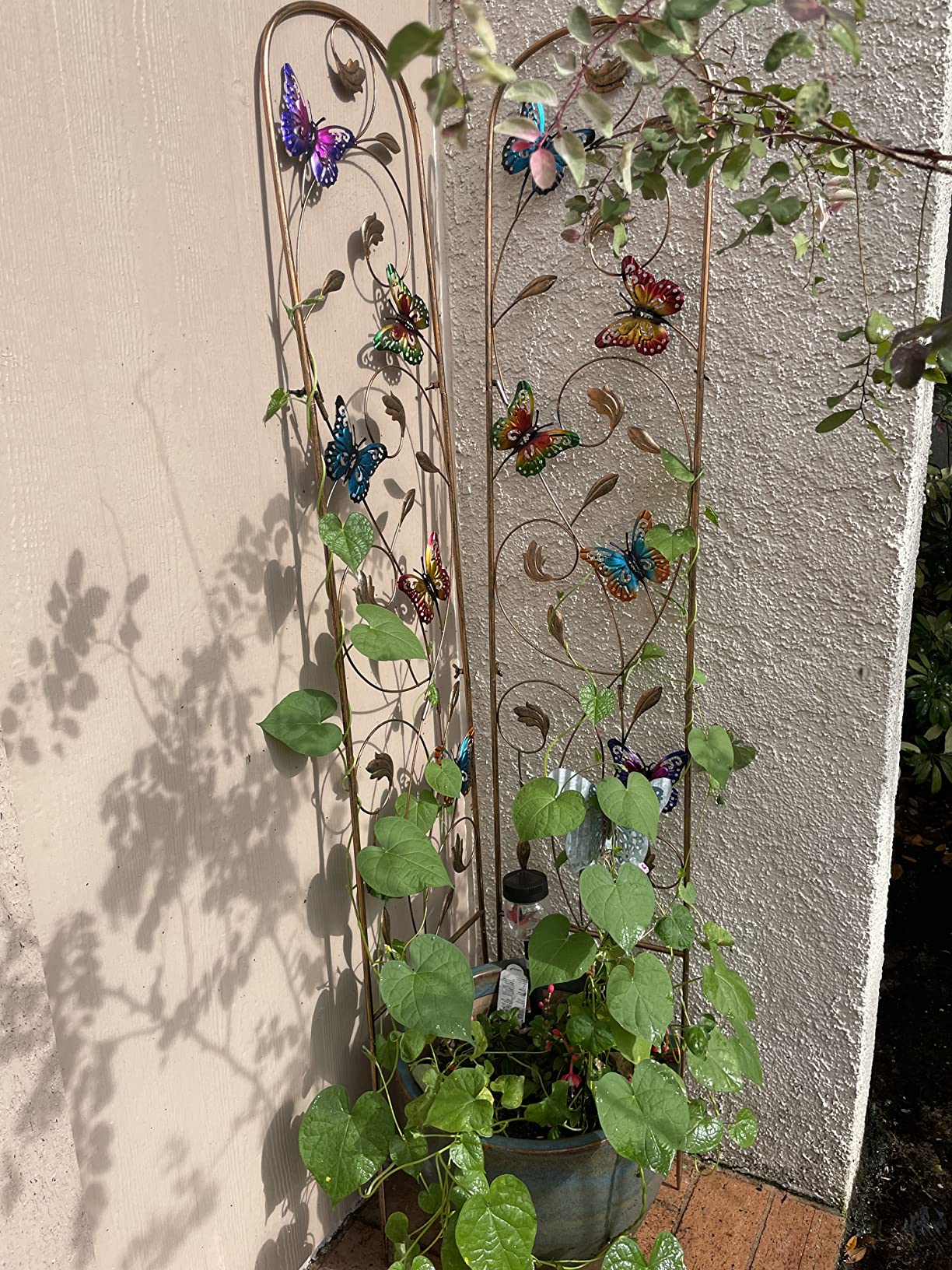 $11/mo - Finance LEWIS&WAYNE 2 Pack Metal Garden Trellis with Colorful ...