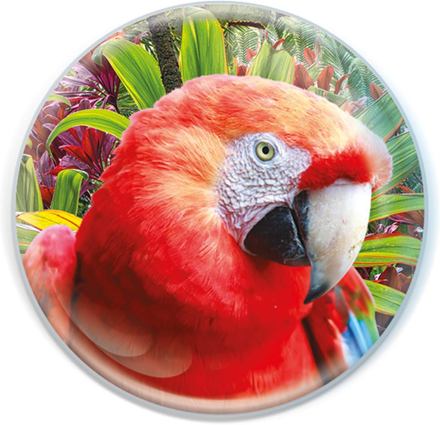Deluxebase Magnidome - Parrot from Tropical Bird Crystal Glass Fridge ...