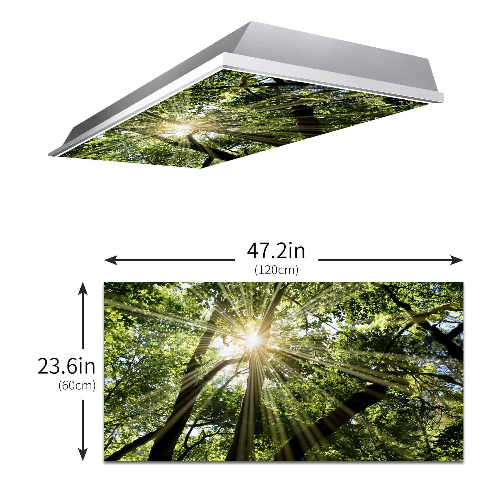 Decorative Fluorescent Fixture Lenses