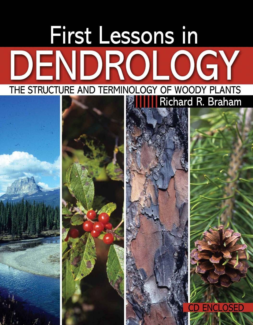Buy First Lessons in Dendrology: The Structure and Terminology of Woody ...