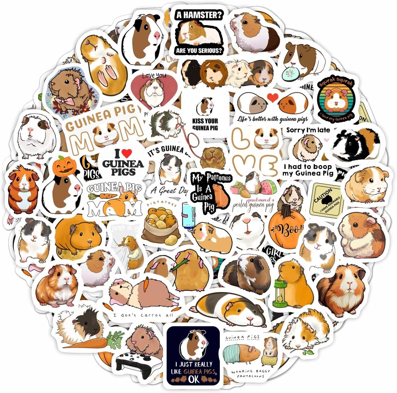 Amazon.com: Guinea Pig Stickers - Guinea Pig Party Favors, Guinea Pig ...
