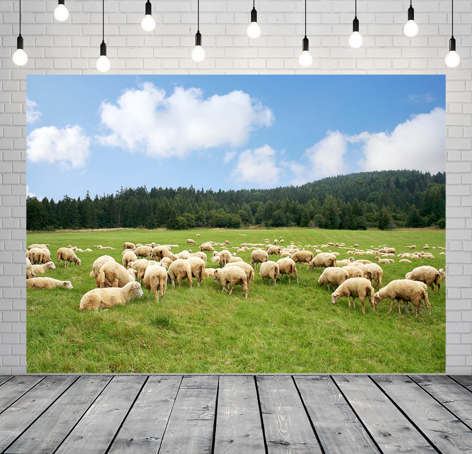 Amazon.com : BELECO 7x5ft Fabric Rural Sheep Pasture Backdrop Flock of ...