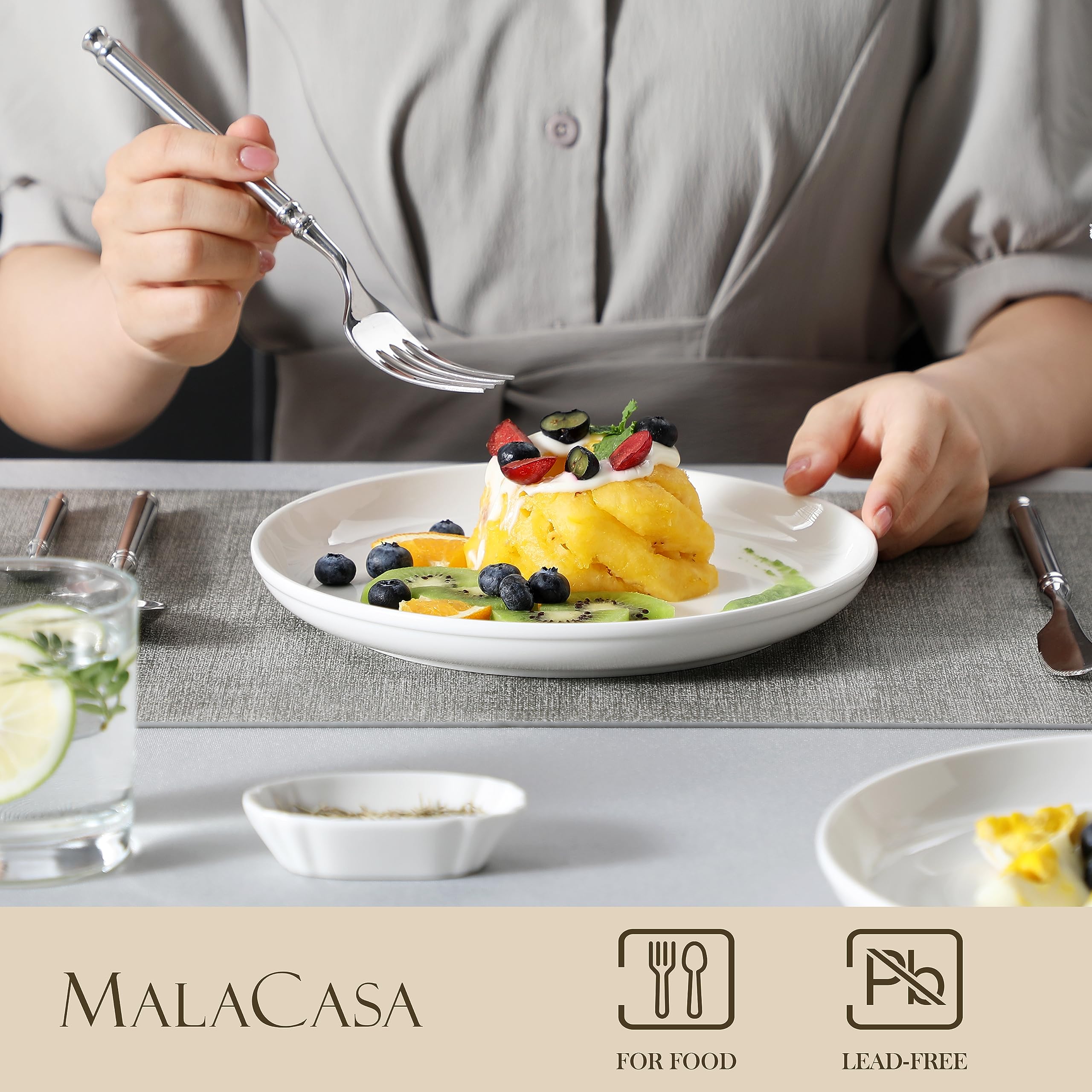 Snapklik.com : Dinner Plates Set Of 6, 8.5 Inch Porcelain Round Plates ...