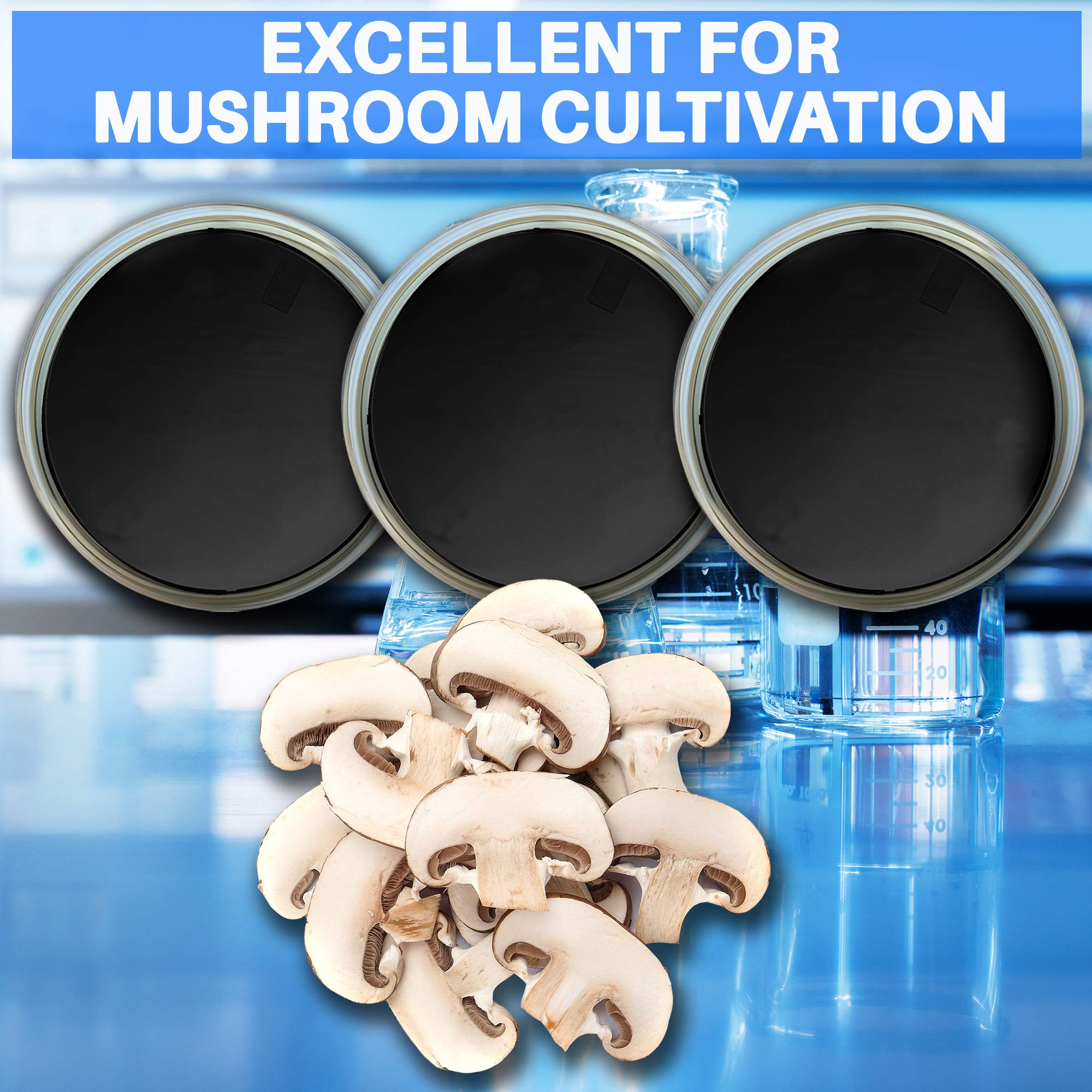 Potato Dextrose Agar Plates with Activated Charcoal - Evviva Sciences ...