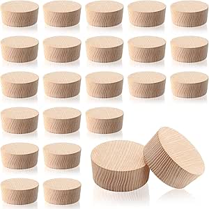 Amazon.com: Barydat 24 Pcs 2 Inches Bourbon Wine Barrel Cask Keg Bung ...